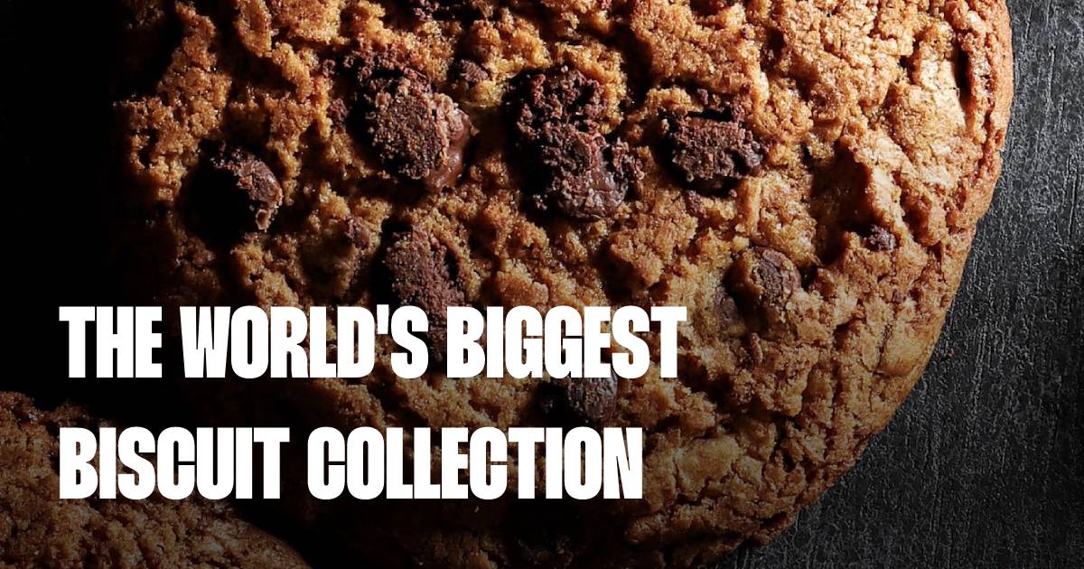 Biscuit Industry Overview and Platform | Biscuit People