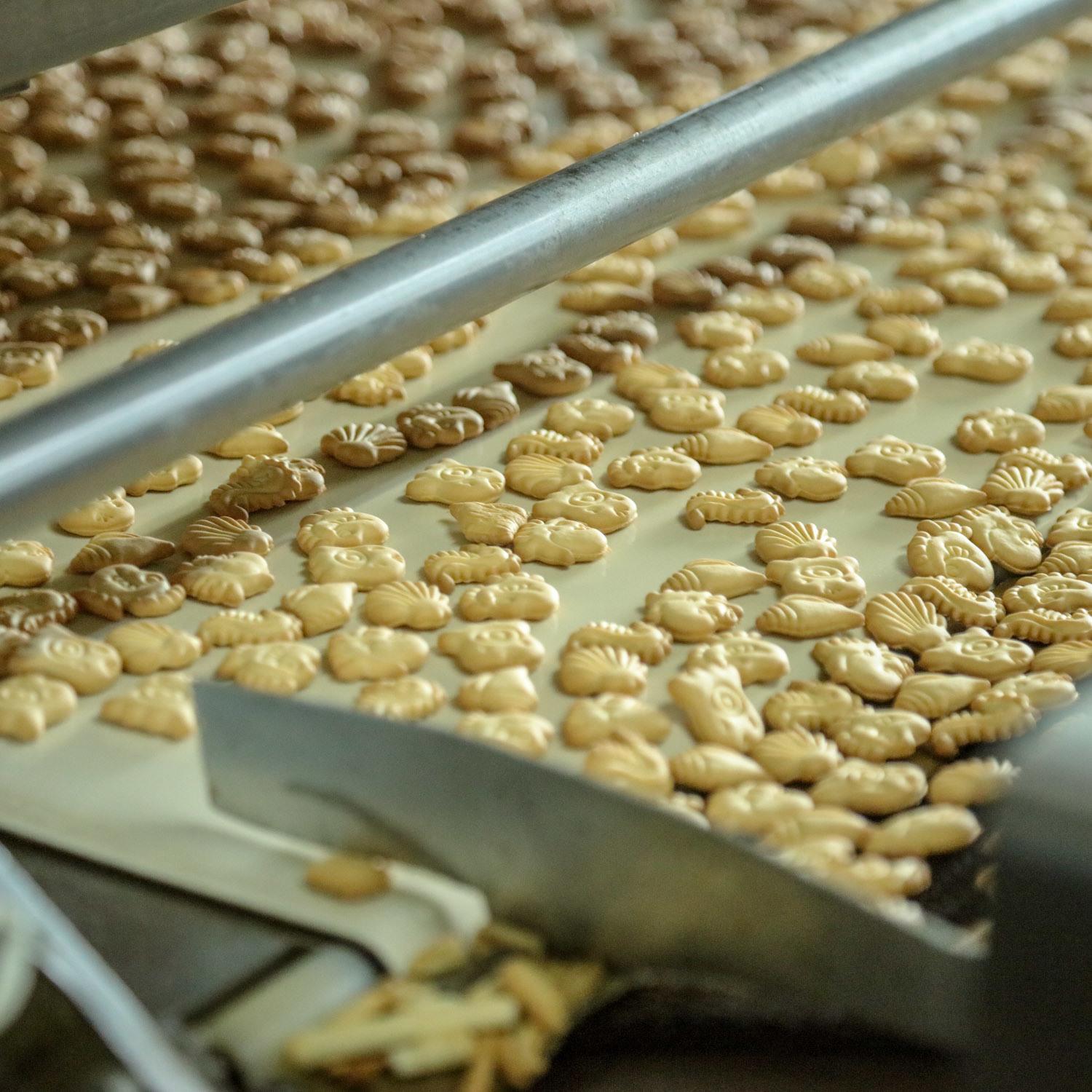 Biscuit Production Line | Biscuit People