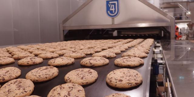 Steps, Equipment and Decisions in Biscuit Baking Technology?